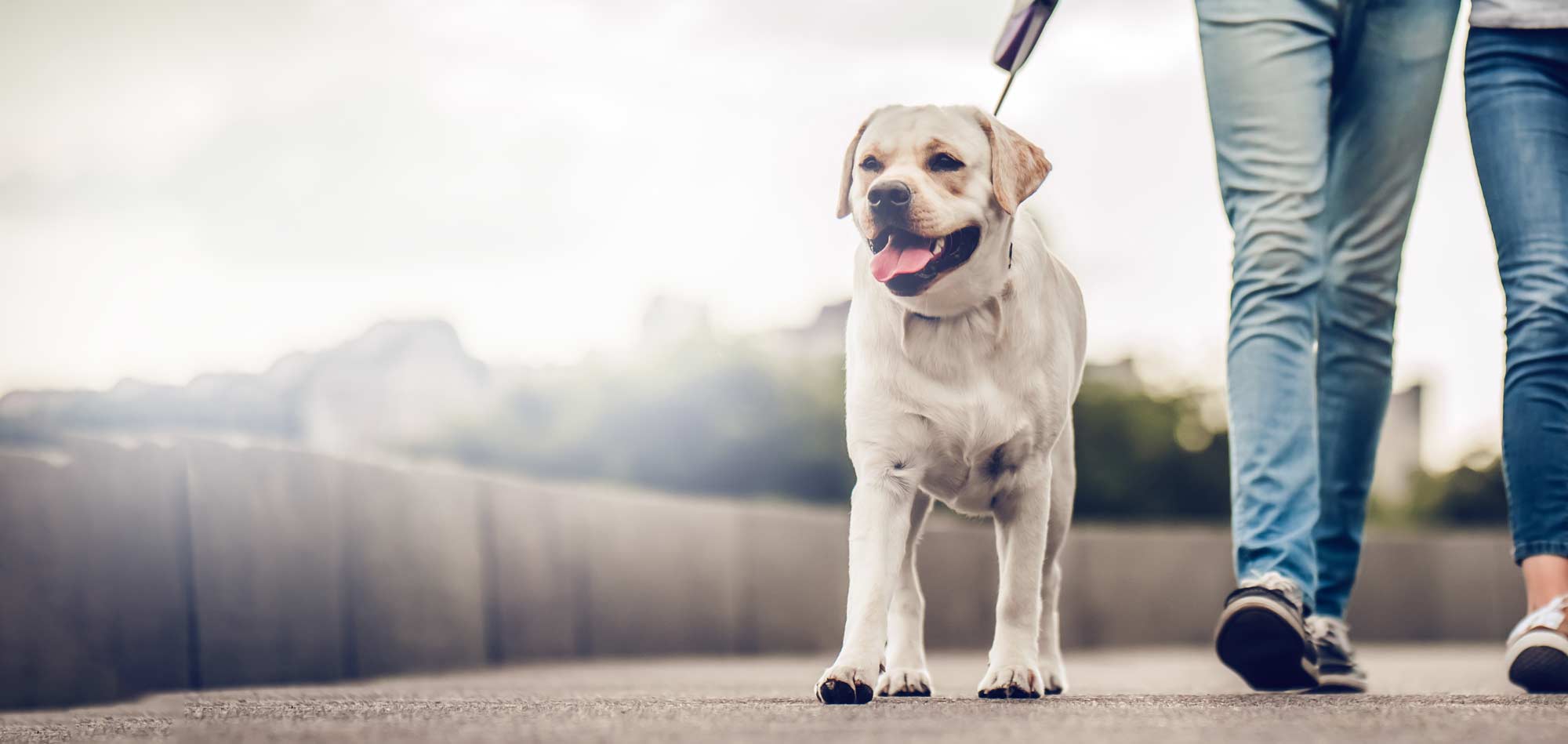 Account Services | Relyance Bank - Arkansas